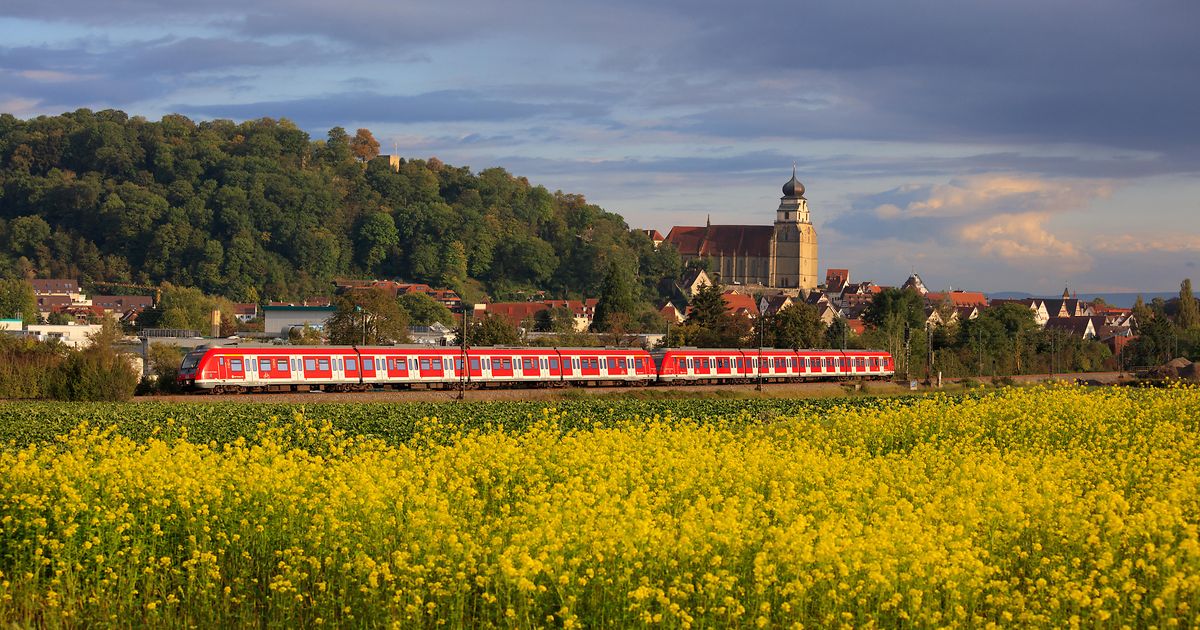 Einzelne Fahrten & TagesTickets